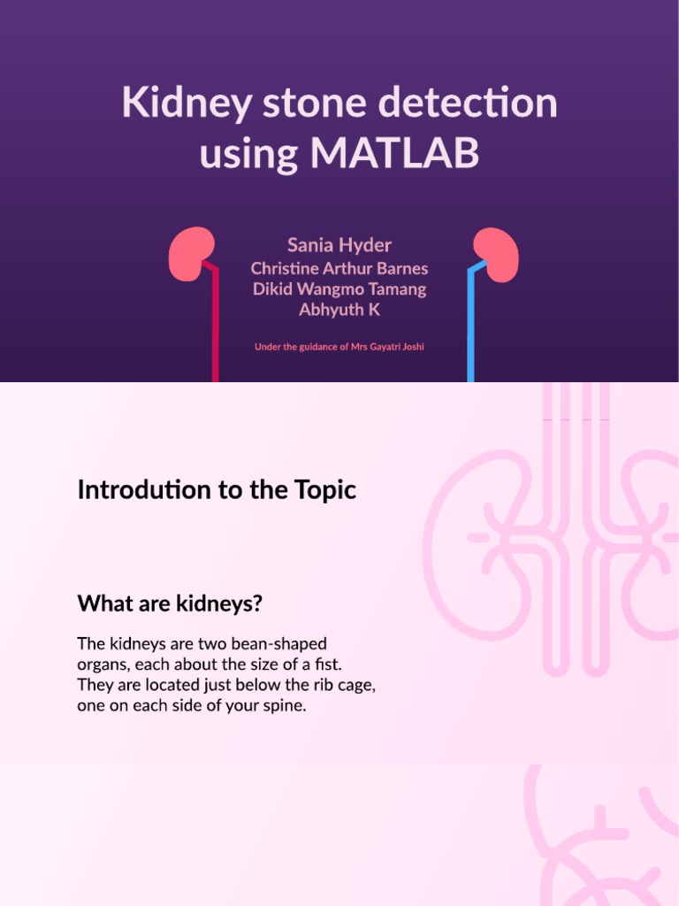 Kidney Stone Detection Using Matlab | PDF | Image Segmentation | Cluster Analysis