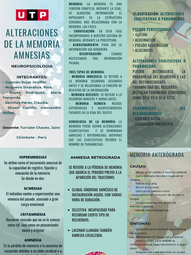 TRIPTICO | PDF | Amnesia | Memoria