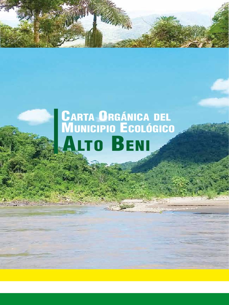 Alto Beni | PDF | Gobierno local | Alcalde