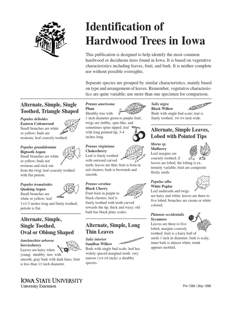 Identification of Hardwood Trees in Iowa: Alternate, Simple, Single ...