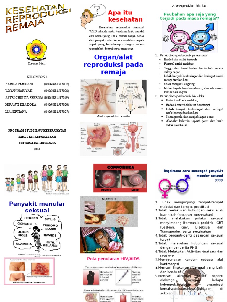 Leaflet Kesehatan Reproduksi Pdf