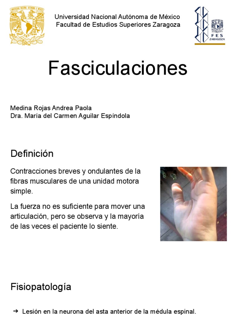 16 Fasciculaciones | PDF