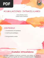Inclusiones Citoplasmáticas: Función y Relevancia | PDF | Biología ...