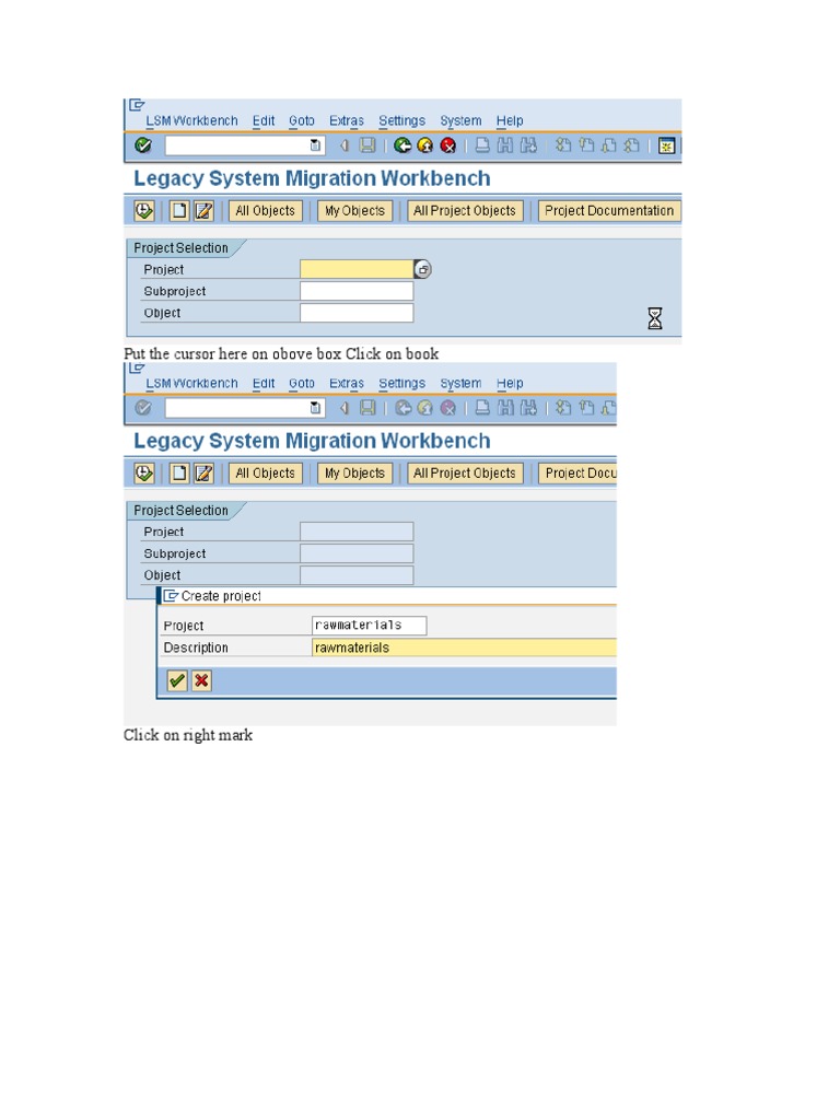 Step-by-step instructions for configuring raw material master data using SAP transaction LSMW ...
