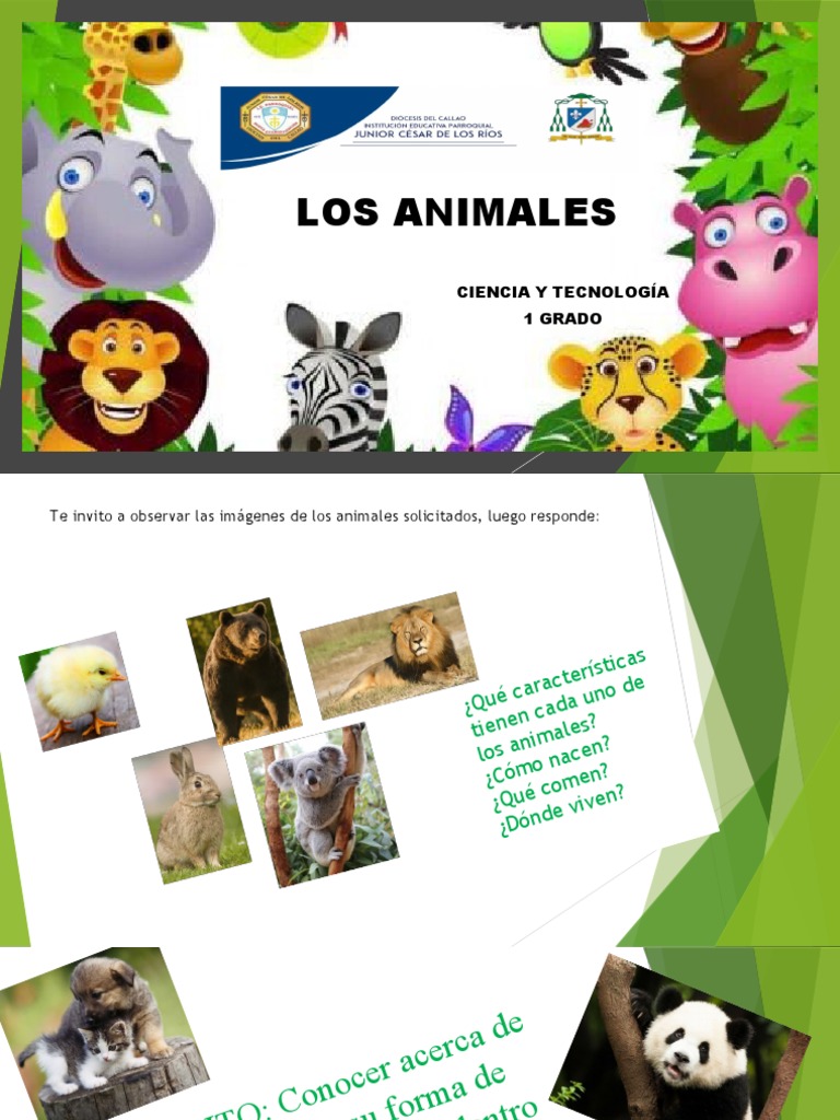 Los Animales Primer Grado | PDF