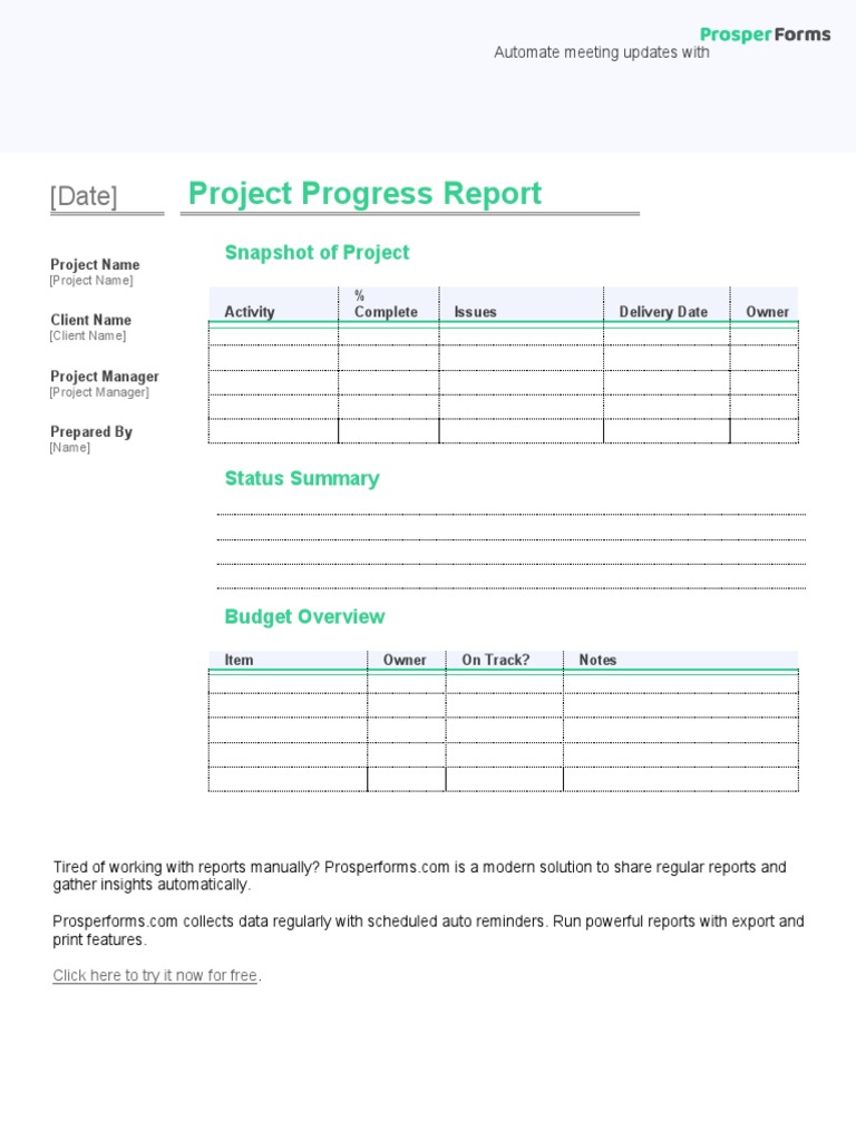 Project Progress Report Template | PDF