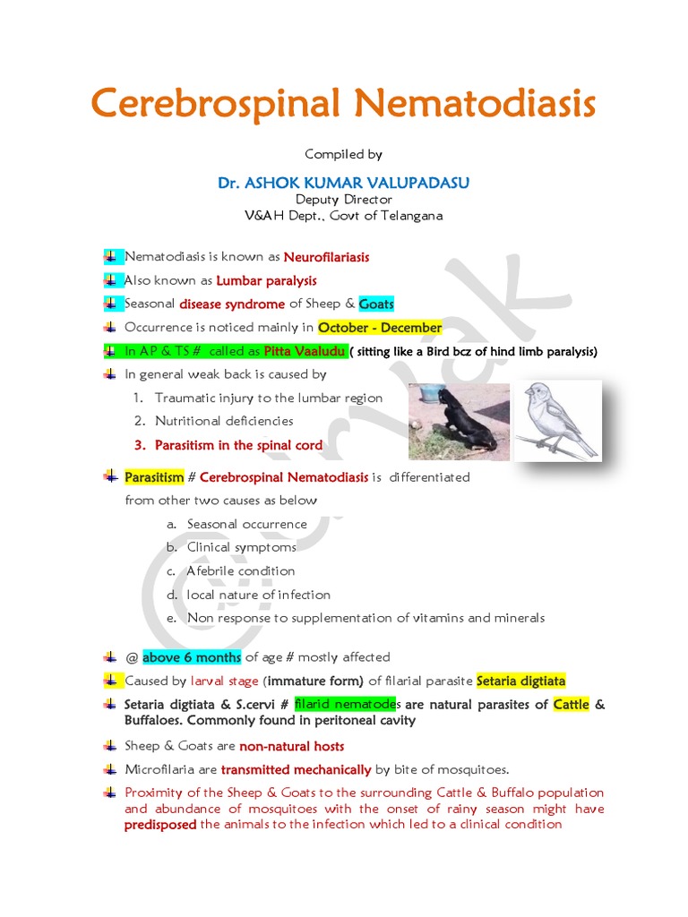 Cerebro Spinal Nematodiasis | PDF | Parasitism | Medical Specialties