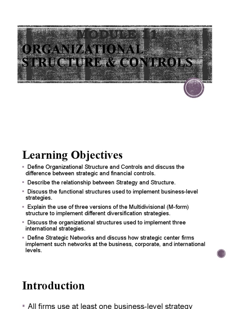 Organizational Structures and Controls for Implementing Business and ...