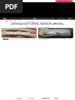 Garinagu Anaha Ya Abecedario Garífuna | PDF