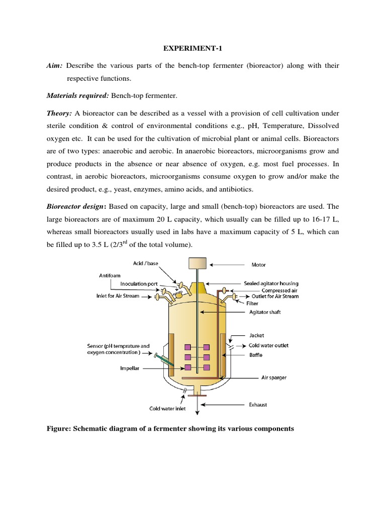 Experiment 1 Bioreactor and Its Components | PDF | Fermentation | Biology