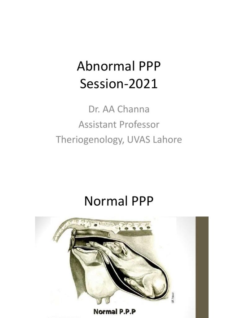 Abnormal PPP Session-2021: Dr. AA Channa Assistant Professor ...