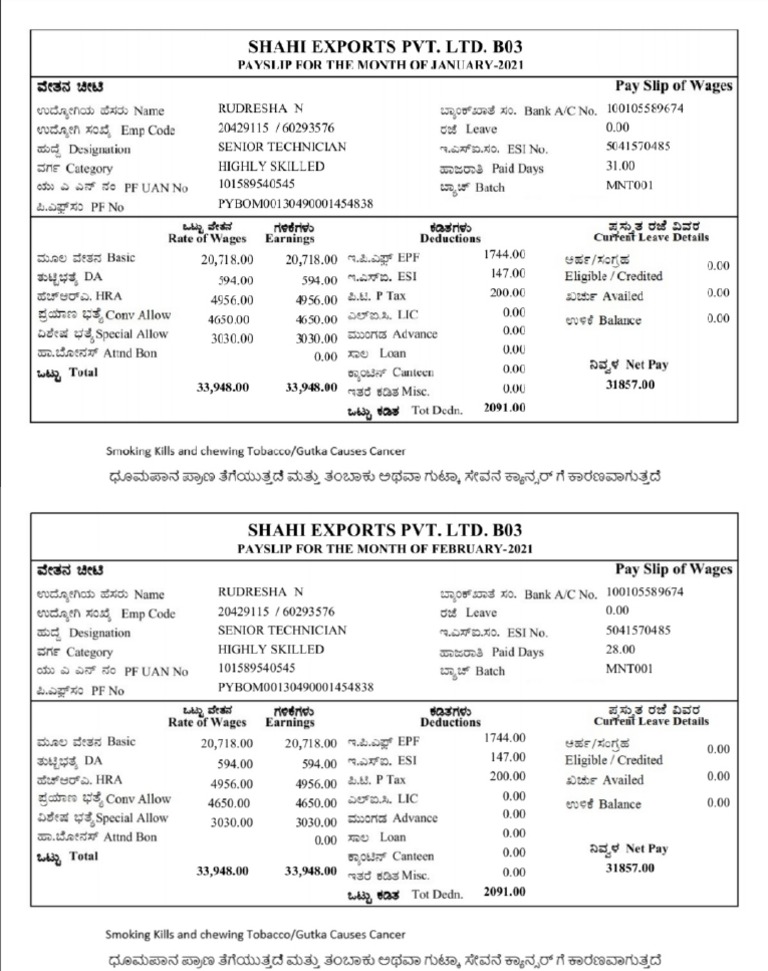 Rud 2021 Payslip | PDF