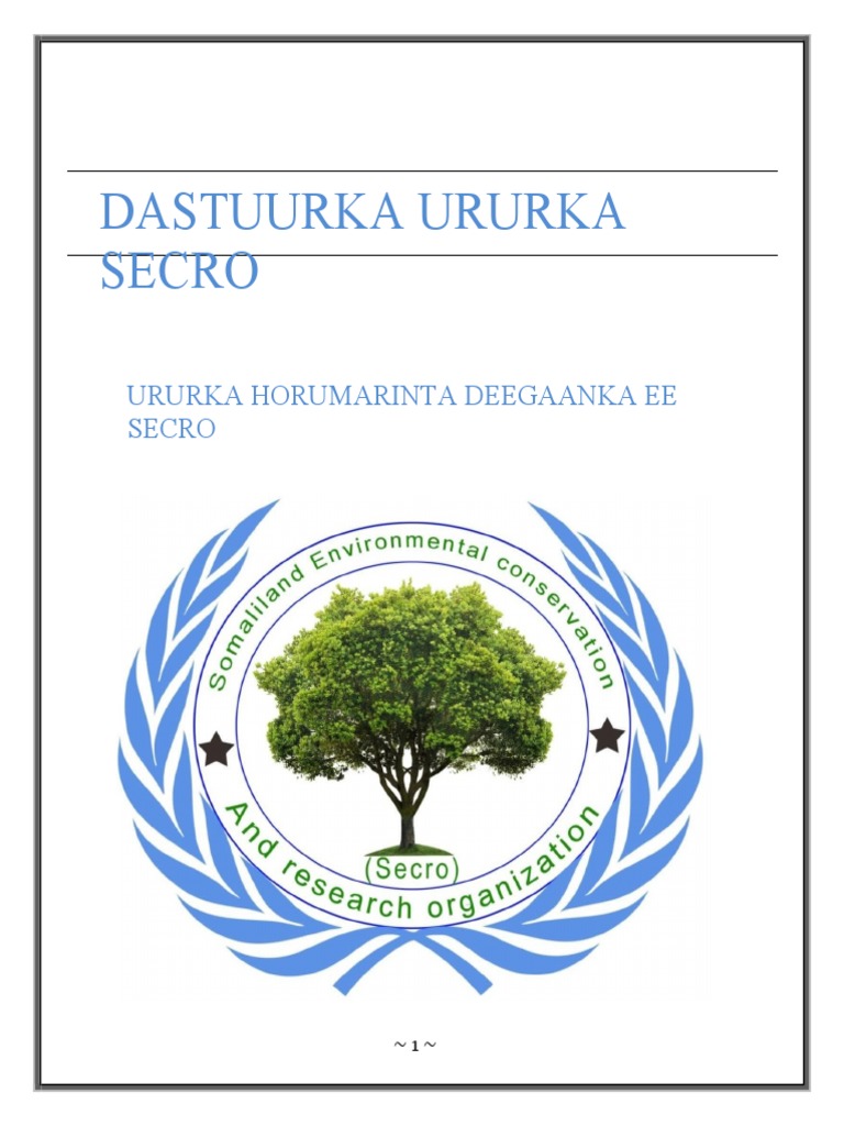 SECRO Constitution | PDF