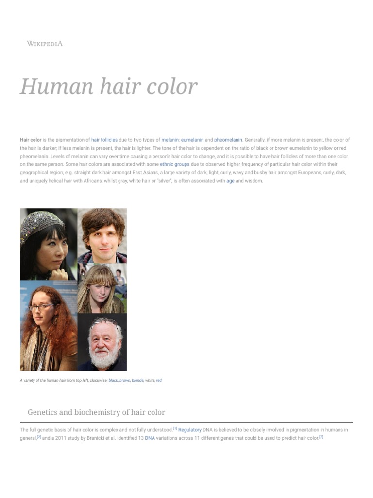 Human Hair Color: Hair Follicles Melanin Eumelanin Pheomelanin | PDF ...