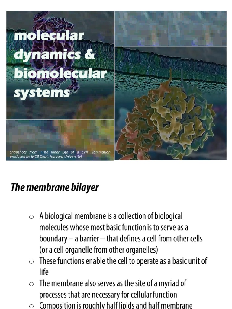 Molecular Dynamics & Biomolecular Systems | PDF