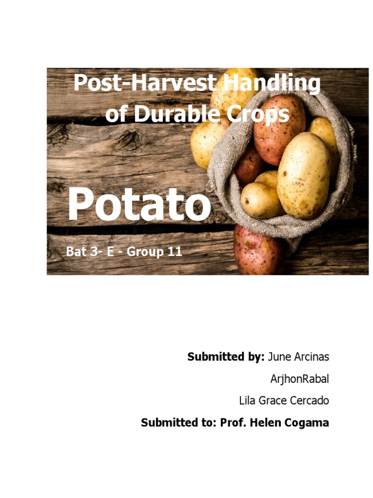 Post-Harvest Handling of Durable Crops: Potato | PDF | Potato | Flowers