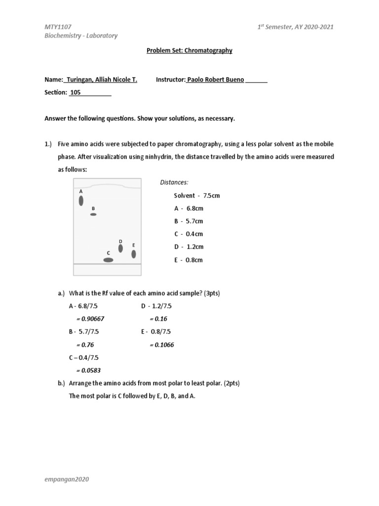 Turingan - Lab Problem Set - Chromatography | PDF | Scientific ...