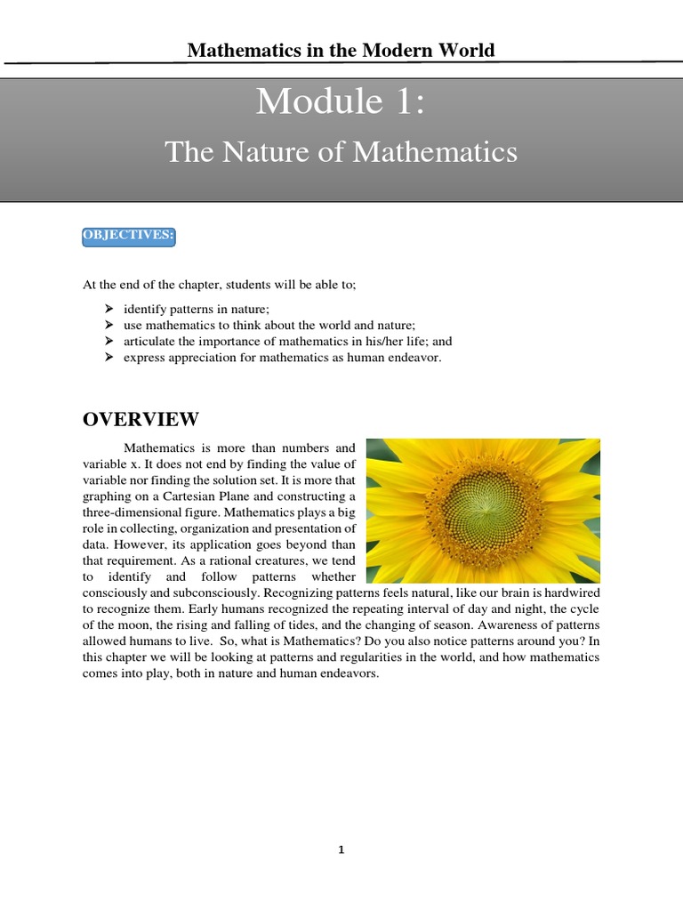 The Nature of Mathematics | PDF | Teaching Mathematics | Science