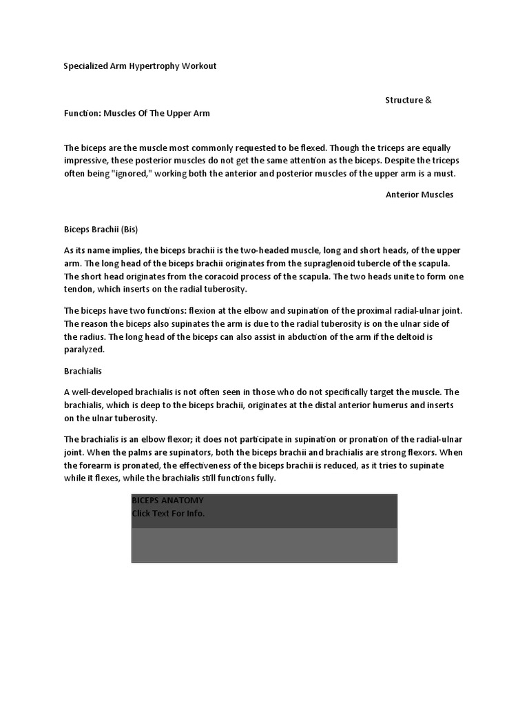 Arm Hypertrophy Workout Plan | PDF | Anatomical Terms Of Motion ...