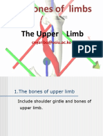 Upper Limb Bones Labeling Guide | PDF | Musculoskeletal System | Human ...