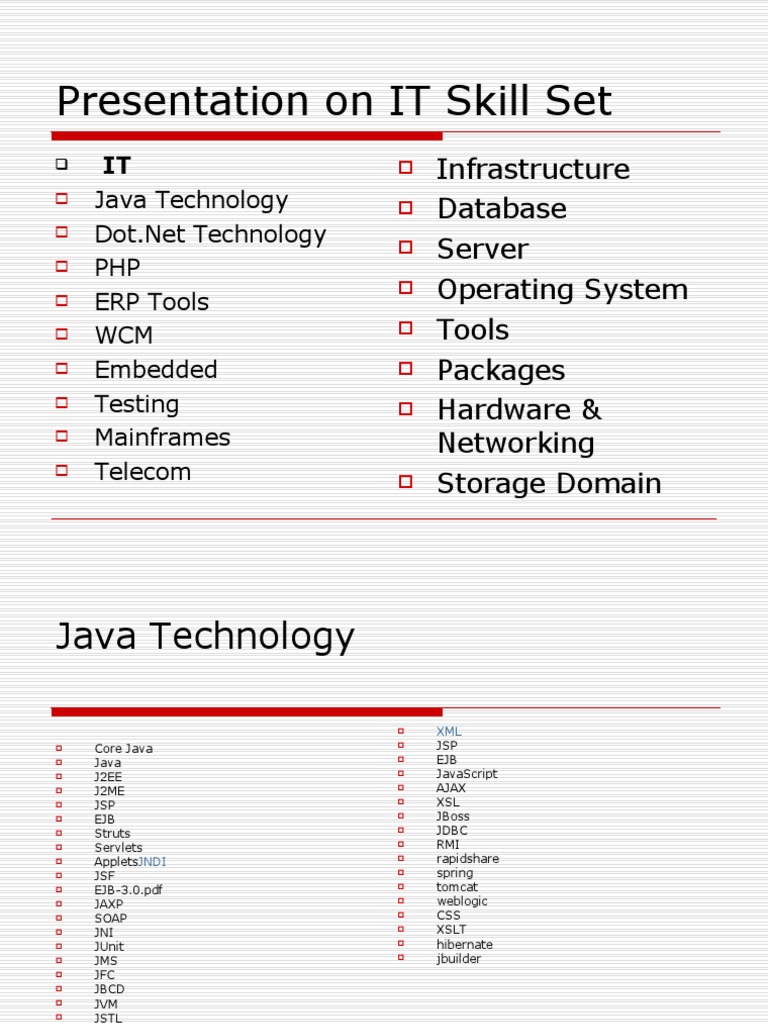 Presentation On IT Skill Set | PDF | Web Application | Application Server