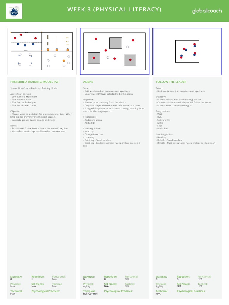 Week 3 Physical Literacy | PDF | Sports Rules And Regulations | Ball Games