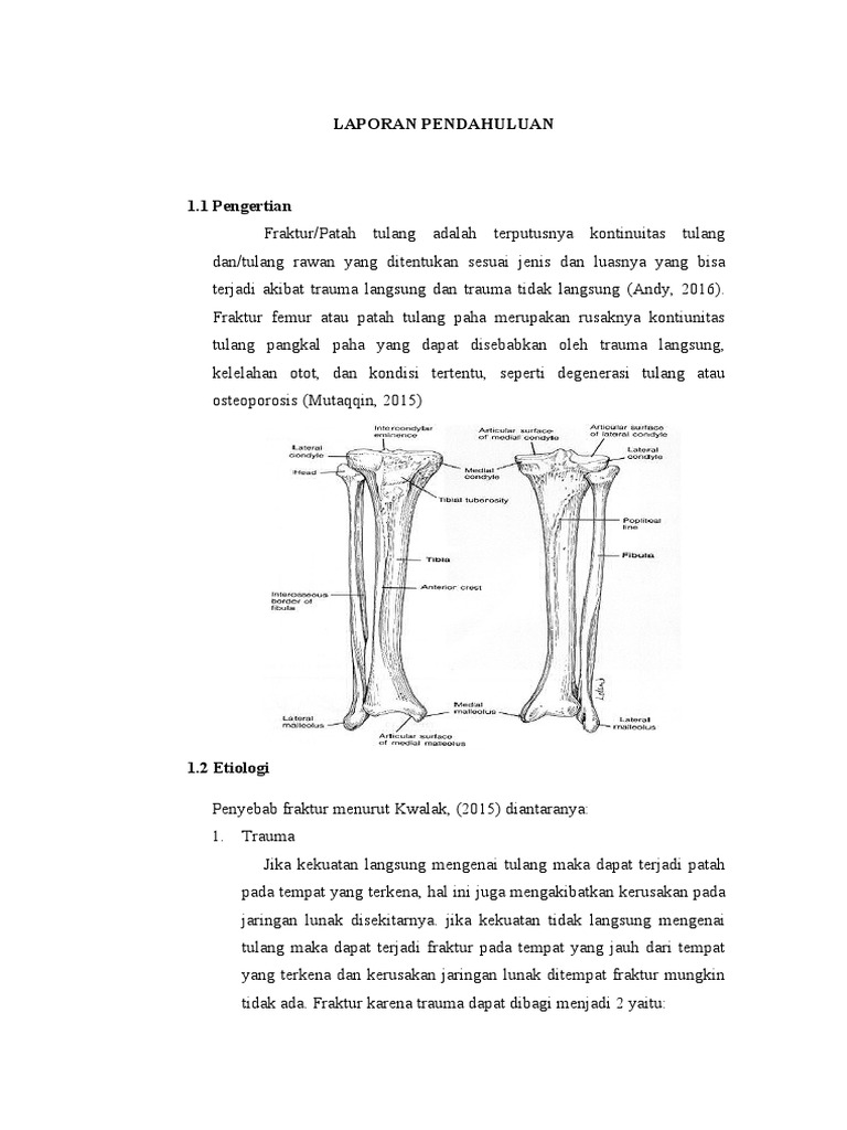 LP Fraktur Femur | PDF