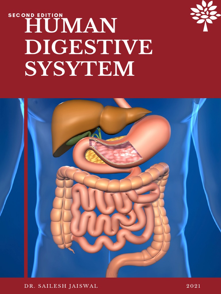 Digestive System (Handwritten) | PDF