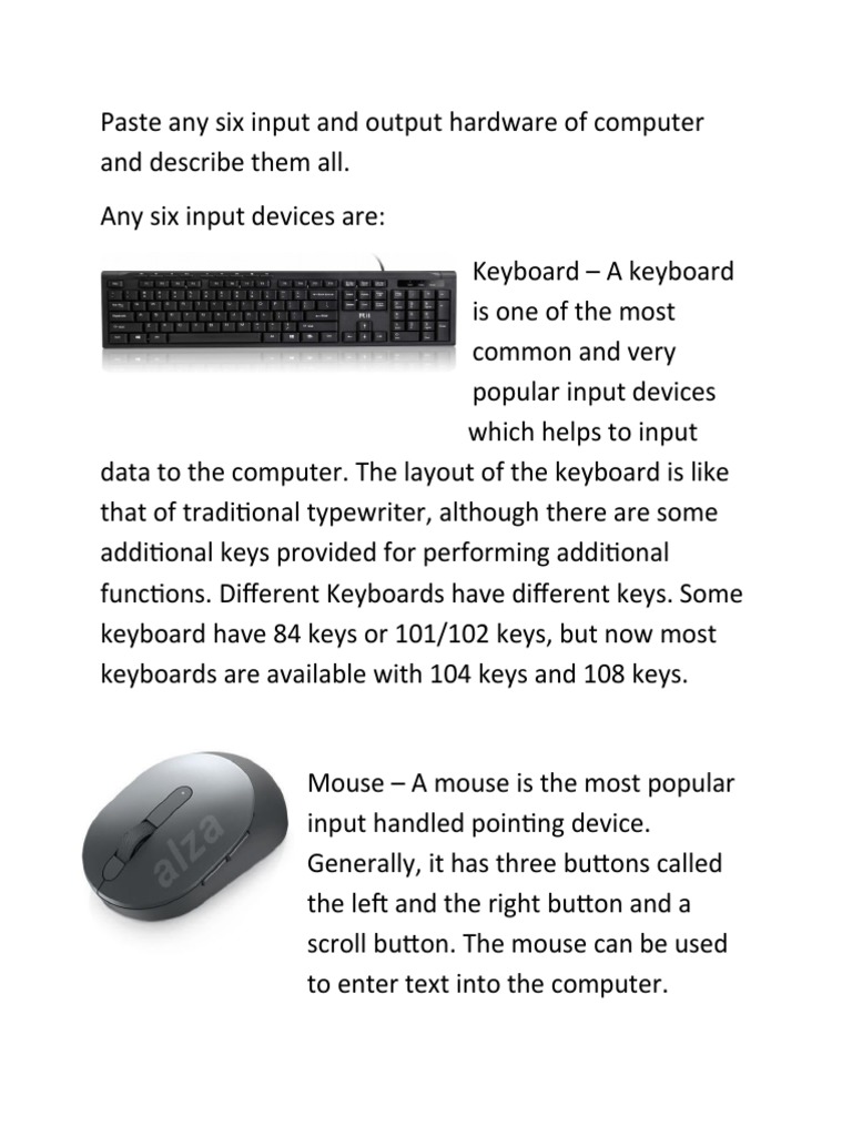 Paste Any Six Input and Output Hardware of Computer and Describe Them ...