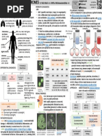 Name of Orisha Personification/Identity Colors Characteristics | PDF ...