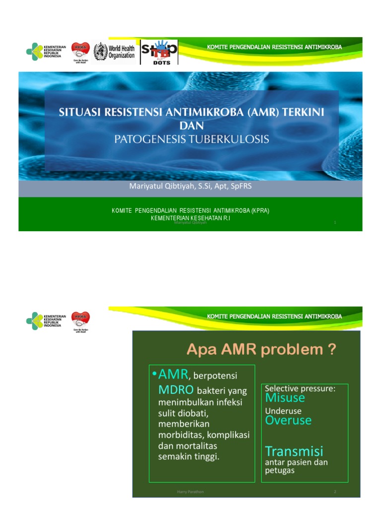 SITUASI AMR TERKINI & PATOGENESIS TB - Mariyatul Qibtiyah | PDF
