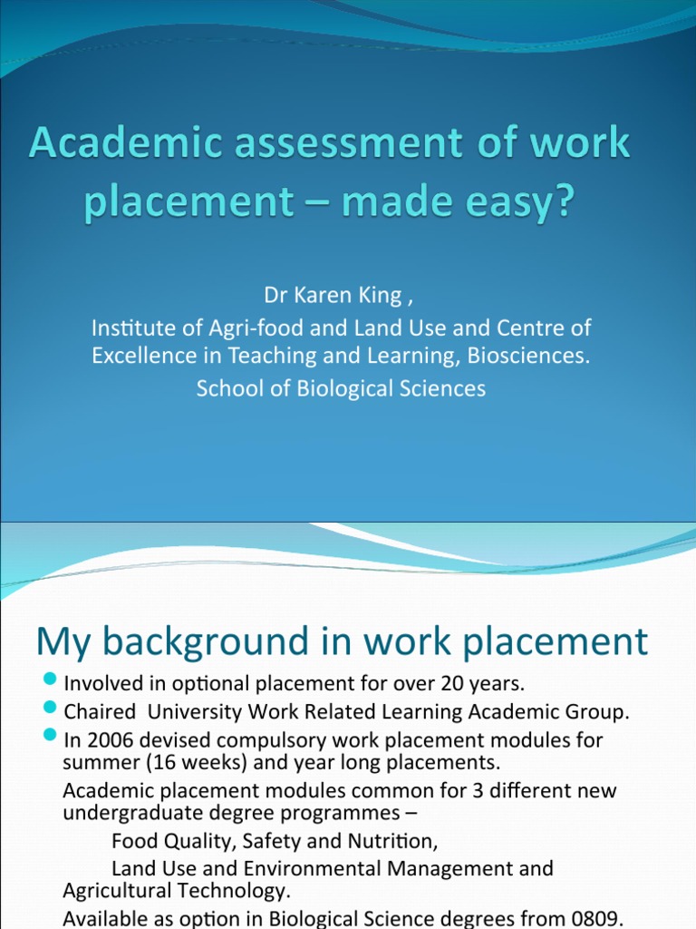 Work Placement | PDF | Educational Assessment | Learning