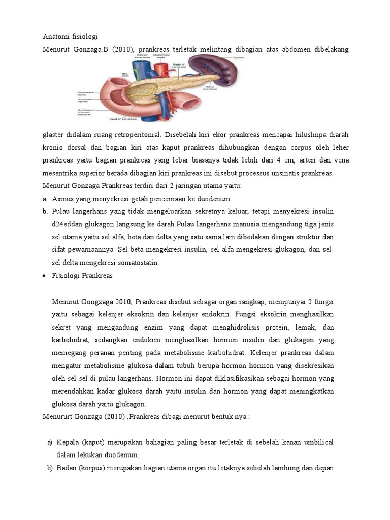 Anatomi Fisiologi | PDF | Griya & Taman | Kesehatan Holistik
