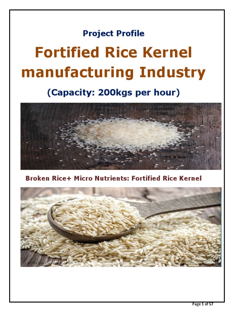 Fortified Rice Kernel Manufacturing Industry: (Capacity: 200kgs Per ...