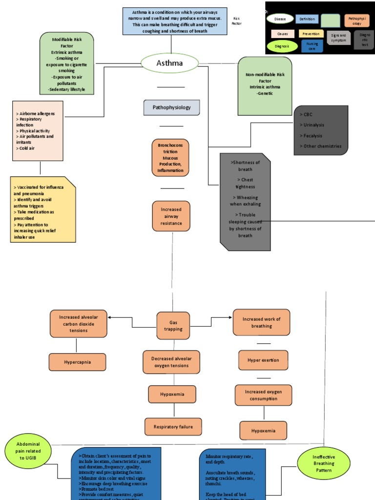 Concept Map | PDF | Asthma | Respiratory Tract