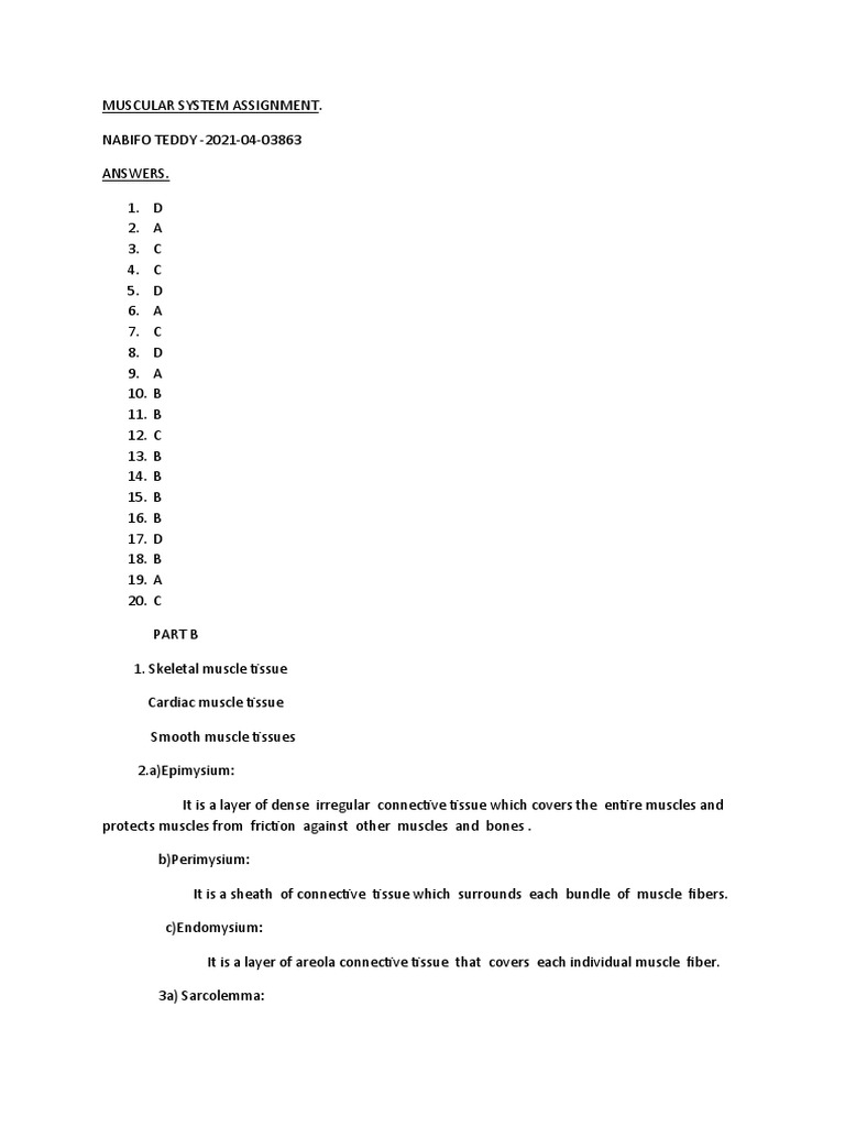 Muscular System Assignment Answers | PDF