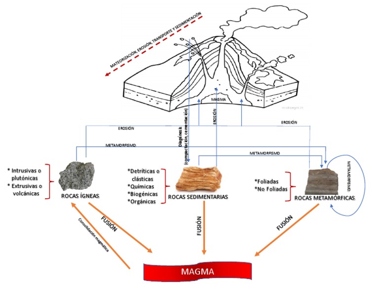 Diagrama De Roca Sedimentaria Bloque Diagrama | PDF | Estrato | Roca
