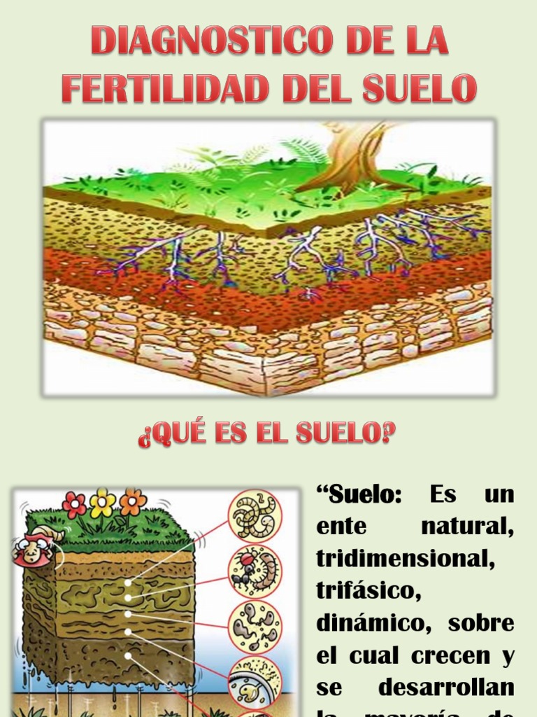 Fertilidad Del Suelo | PDF | Fertilidad del suelo | Nutrientes