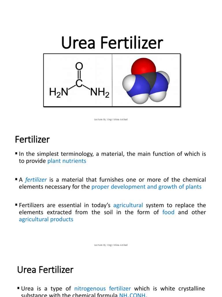 Urea Fertilizer: Lecture By: Engr. Mina Arshad | PDF | Urea | Fertilizer