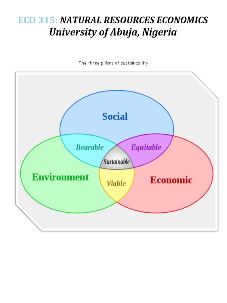 Natural Resources Economics Course Overview | PDF
