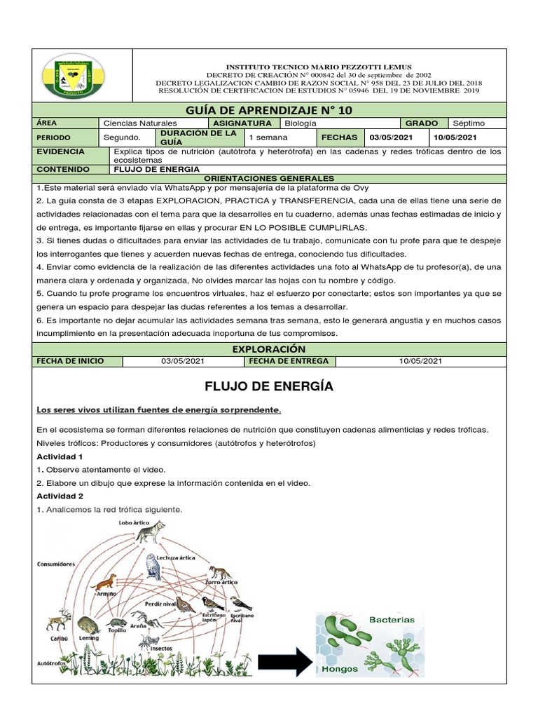 Guia #10 Biologia Flujo de Energia | PDF | Red alimentaria | Ecología ...