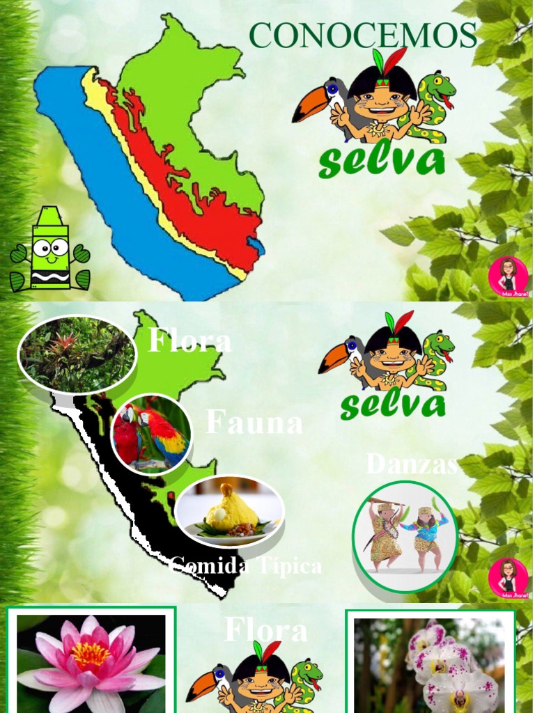 Región Selva | PDF