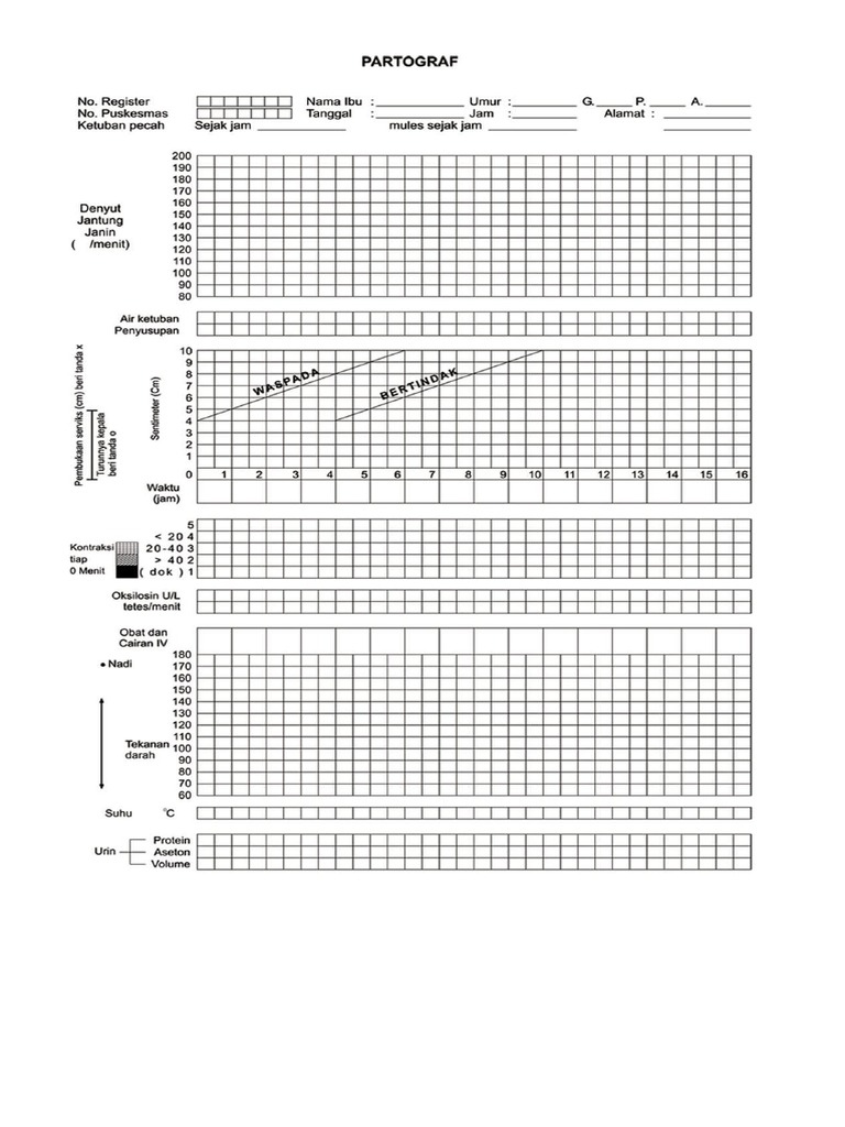 Lembar Partograf | PDF