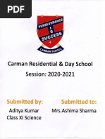 ENGLISH-II PROJECT (ISC English Project Class 12) | PDF