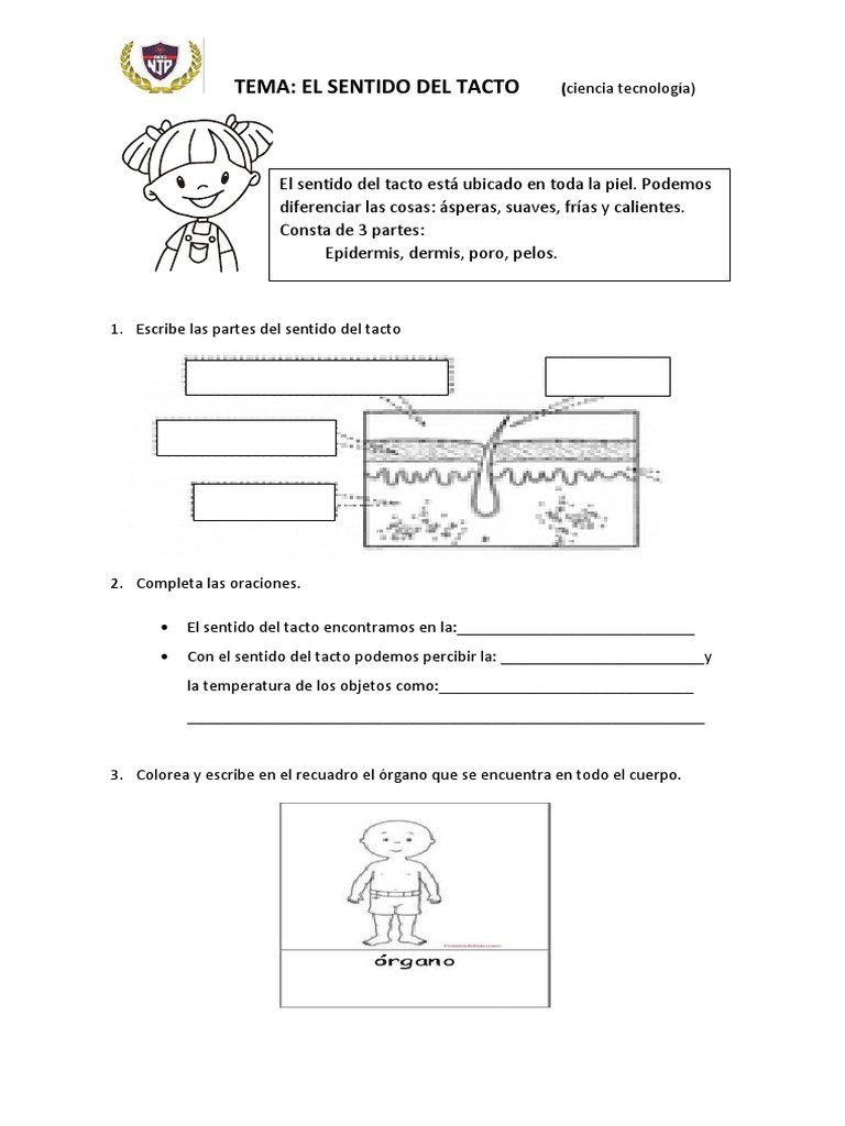 Tema Sentido Del Tacto | PDF