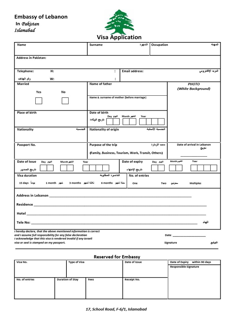 Lebanon Visa Form | PDF | Travel Visa | Passport