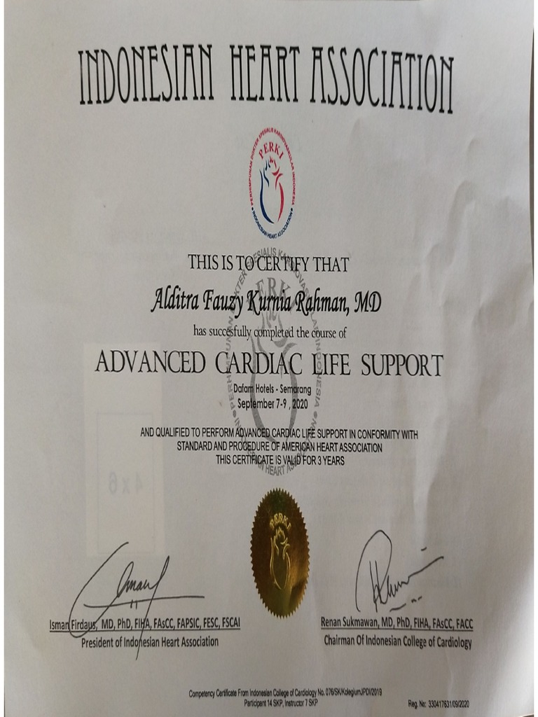 Acls+Ekg Perki | PDF