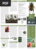 Ent 425 Insect Collection Labels | PDF | Typefaces | Insects