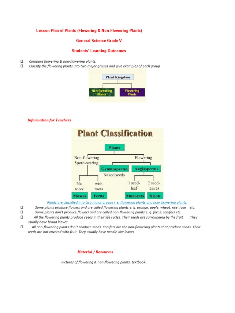 Lesson Plan of Plants | PDF | Plants | Flowers