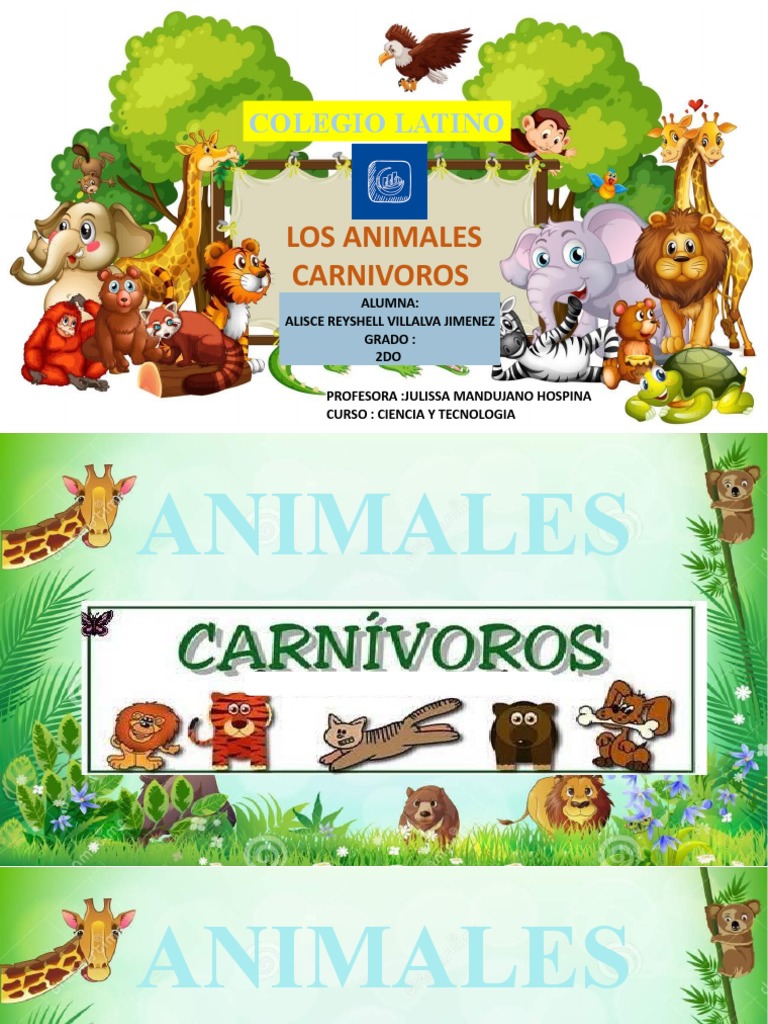 Animales Carnivoros | PDF